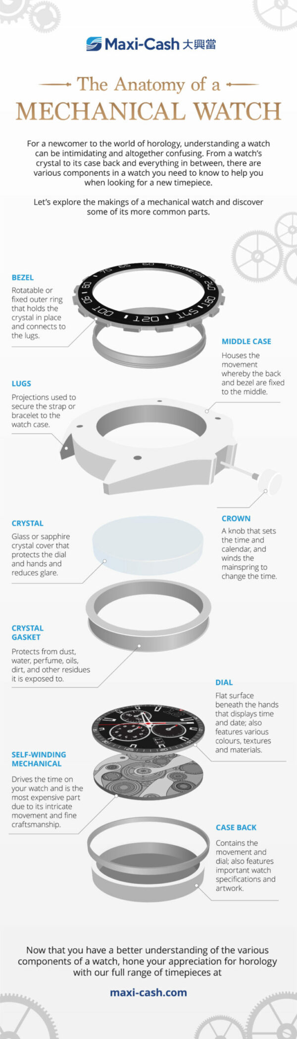 The Anatomy of a Mechanical Watch